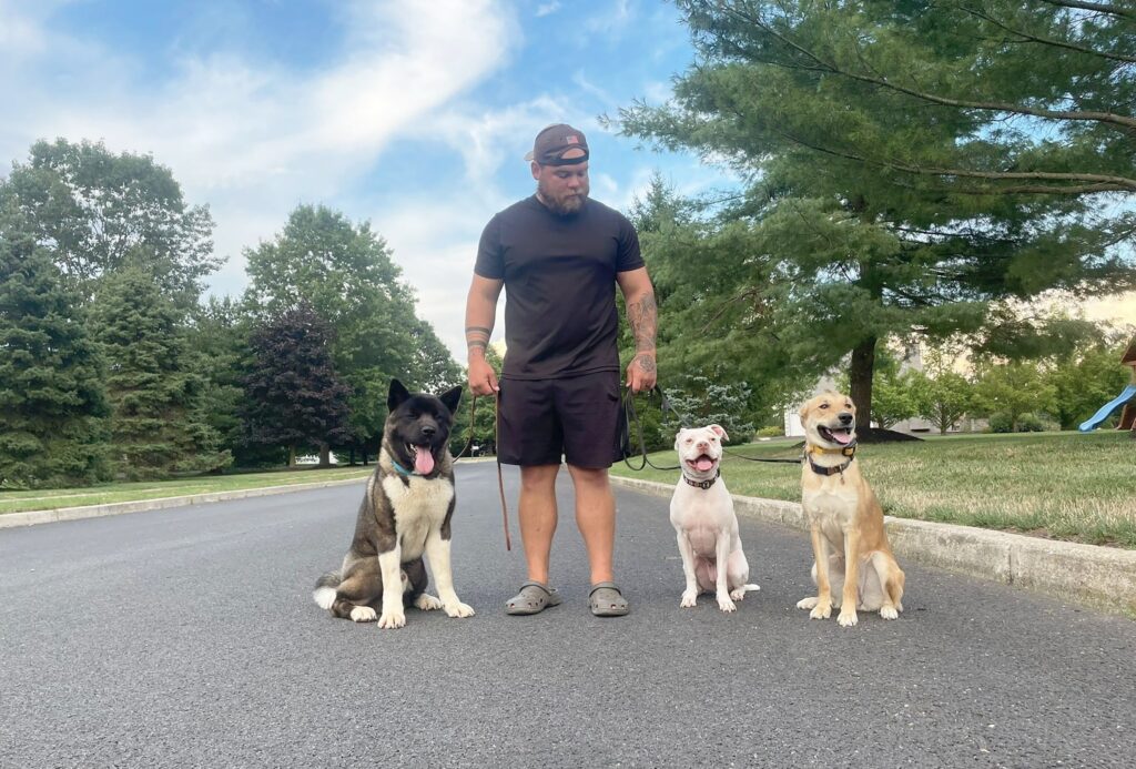 The Cultured Canine - Expert Dog Training in Southeastern PA